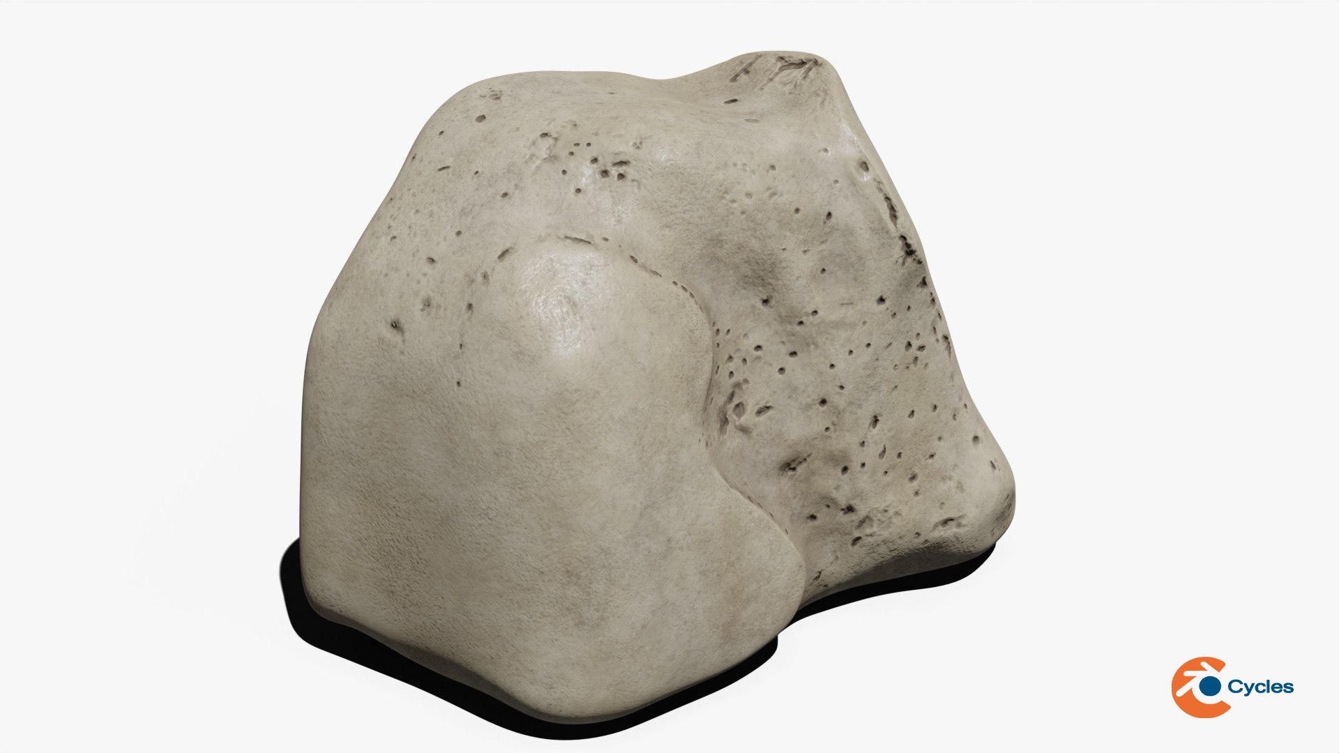 Cuneiform Bone Intermediate 3D Model - TurboSquid 1844980