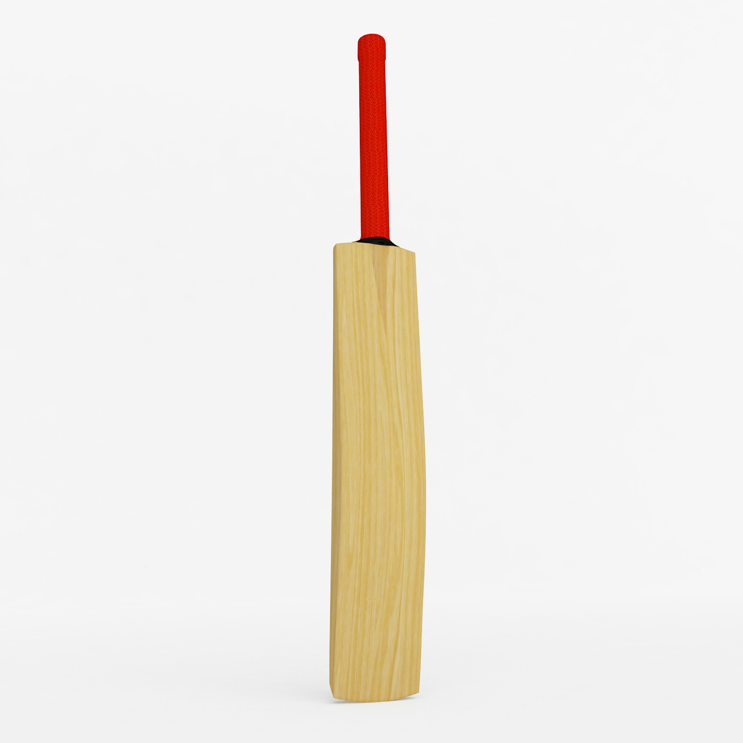 cricket bat 3d max