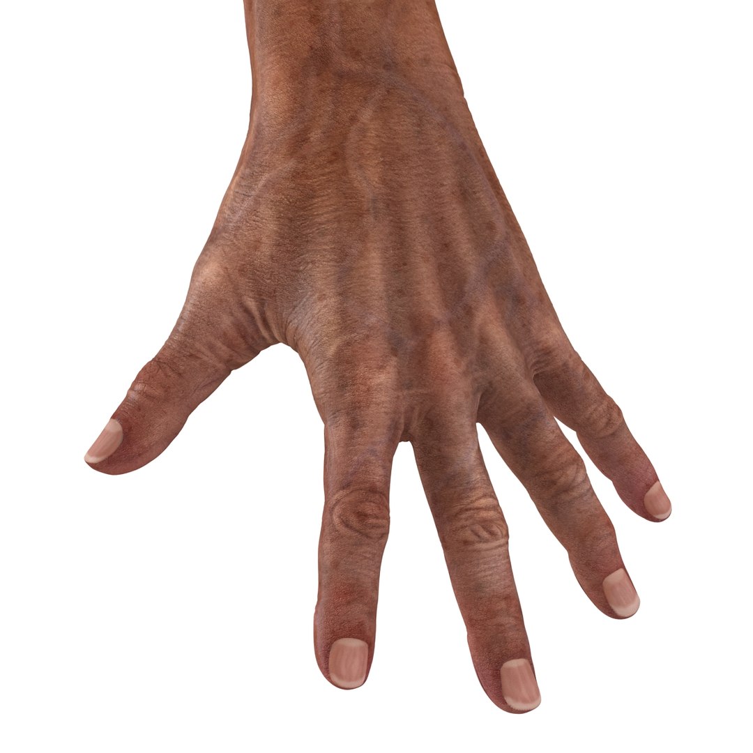 3d model old man hands pose