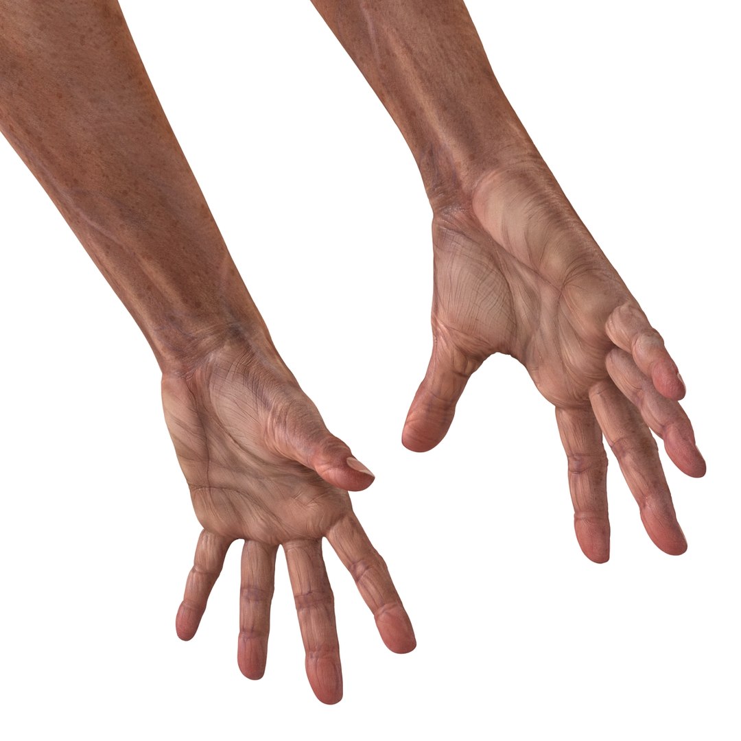 3d model old man hands pose