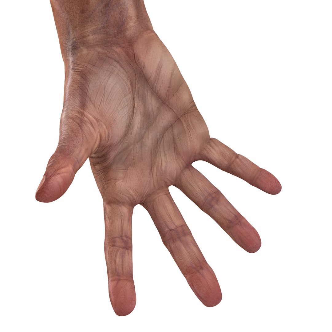 3d model old man hands pose