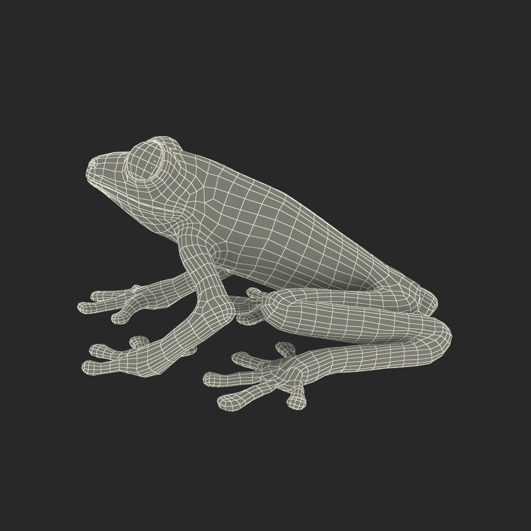 3d Red Eyed Tree Frog Model