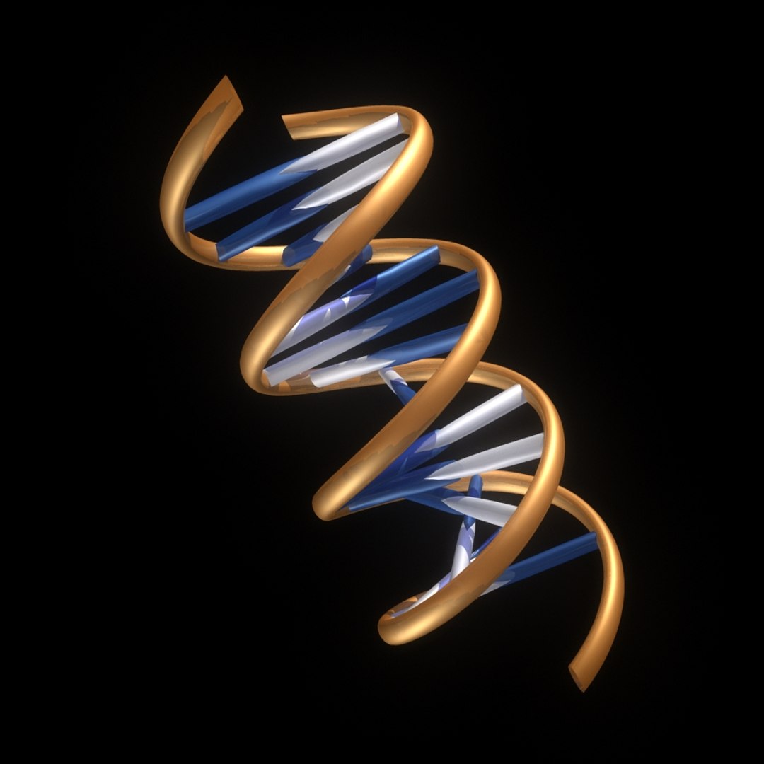 3d Dna Double-helix