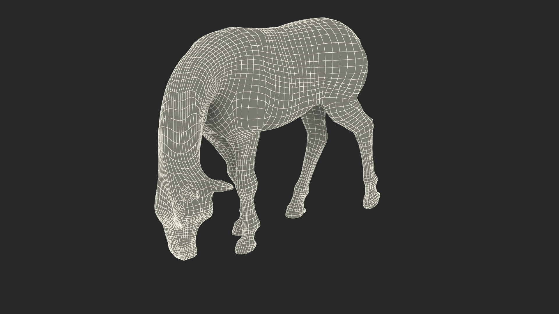 3D Model Shetland Pony In Grazing Pose Fur - TurboSquid 2236576