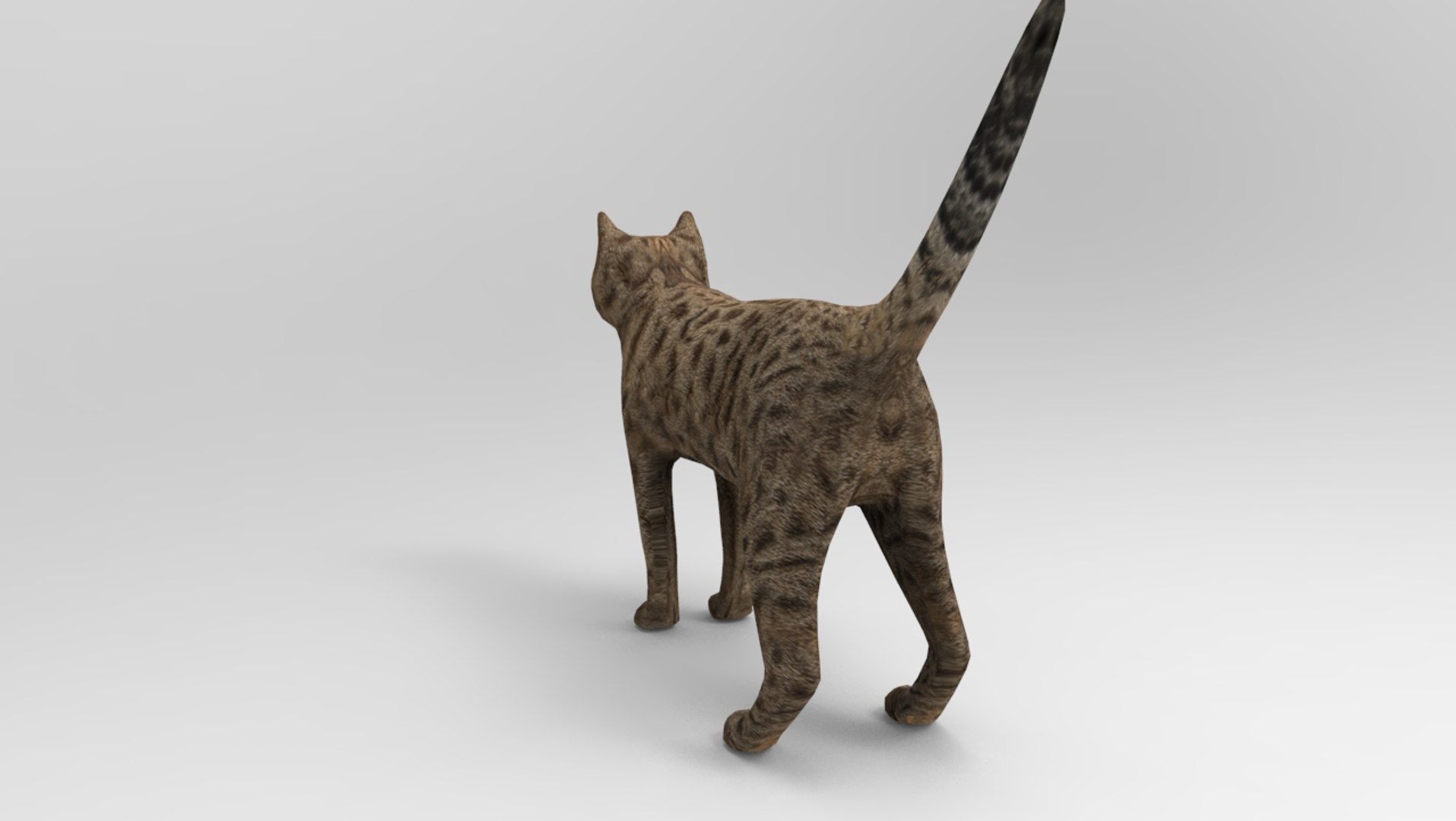 Cat rigged 3D model | 1142686 | TurboSquid