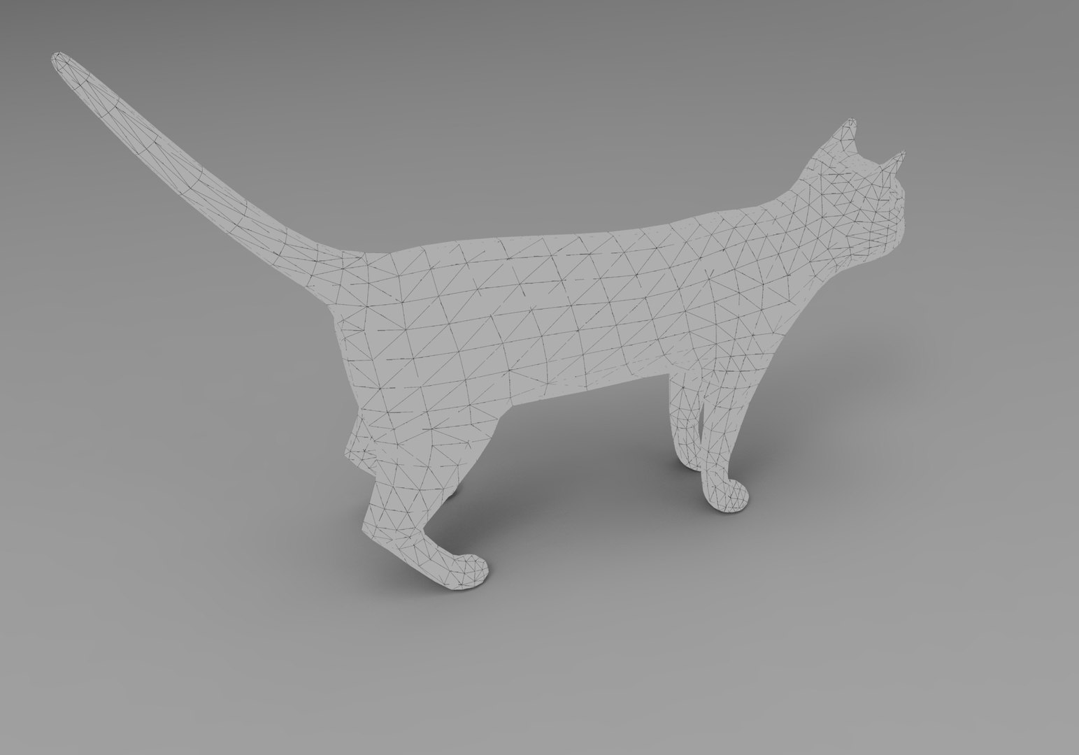 Cat rigged 3D model | 1142686 | TurboSquid