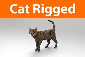Cat rigged animation 3D model - TurboSquid 1204432