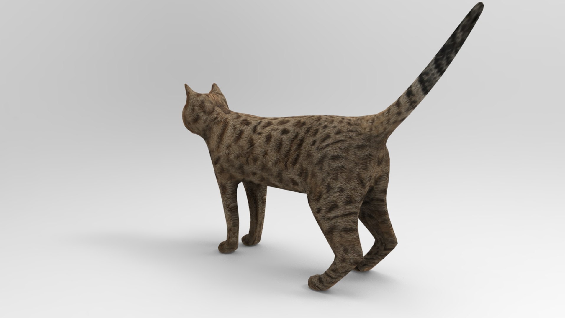 Cat rigged 3D model | 1142686 | TurboSquid