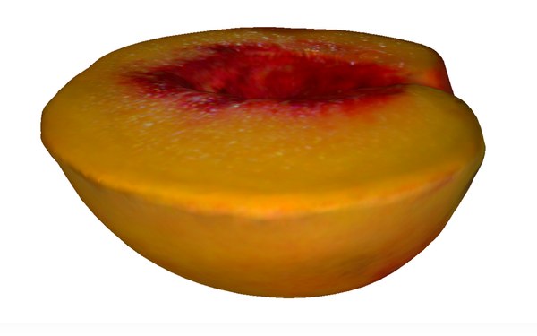 Half peach 3D - TurboSquid 1617520
