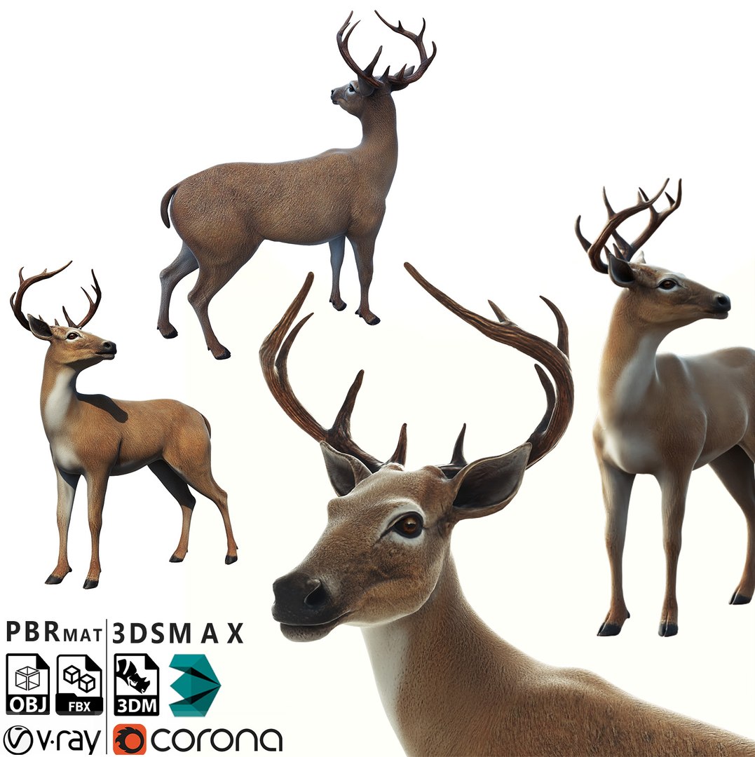 Deer 3D Model - TurboSquid 1970415