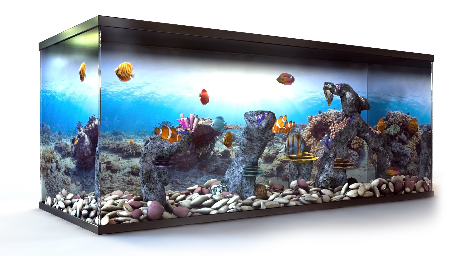 aquarium tropical fish 3d max