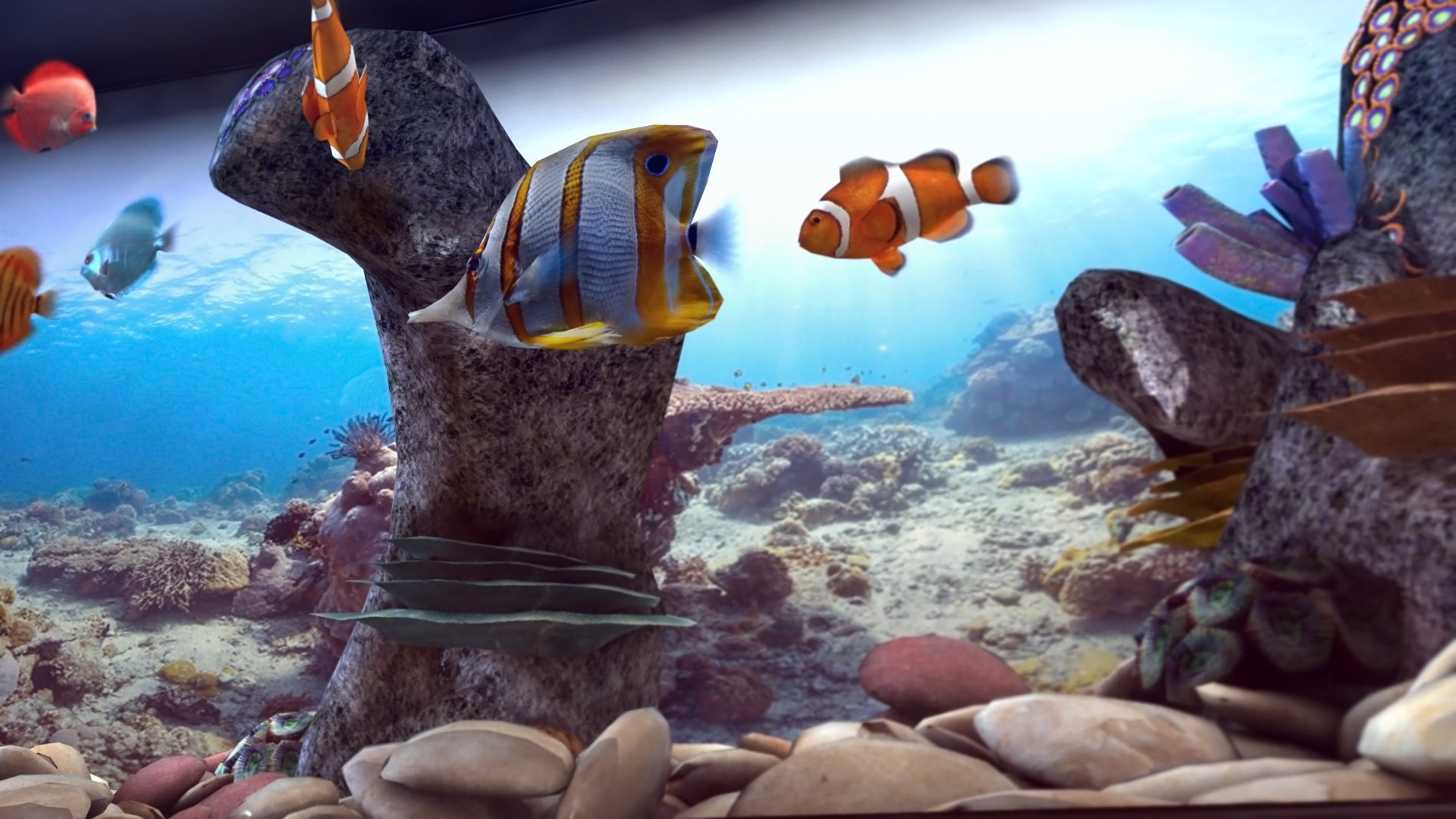 aquarium tropical fish 3d max