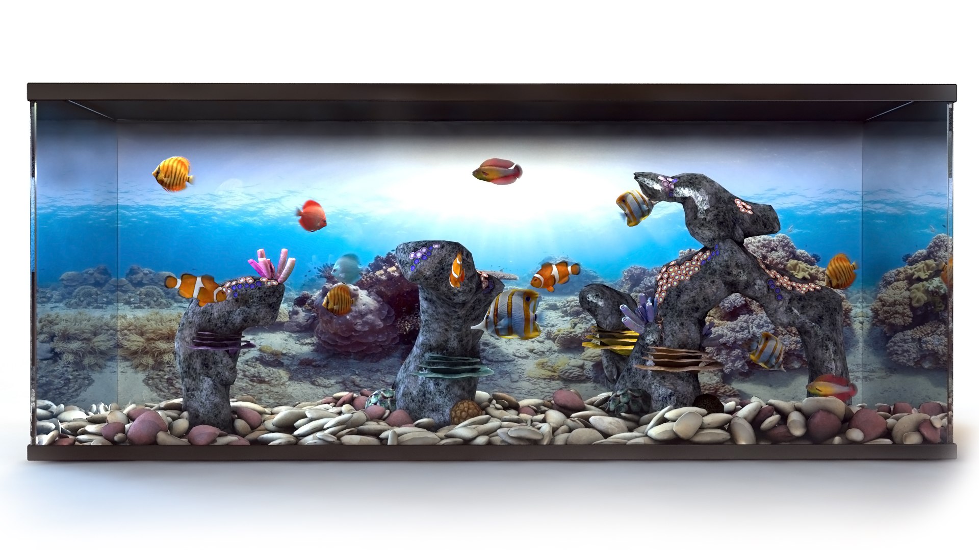 aquarium tropical fish 3d max