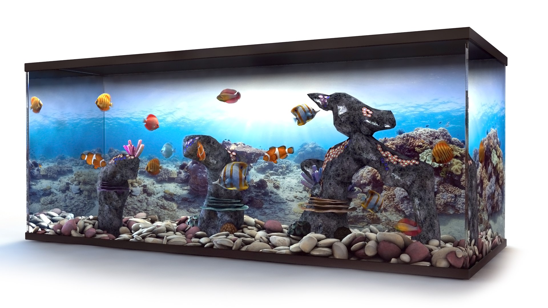 aquarium tropical fish 3d max