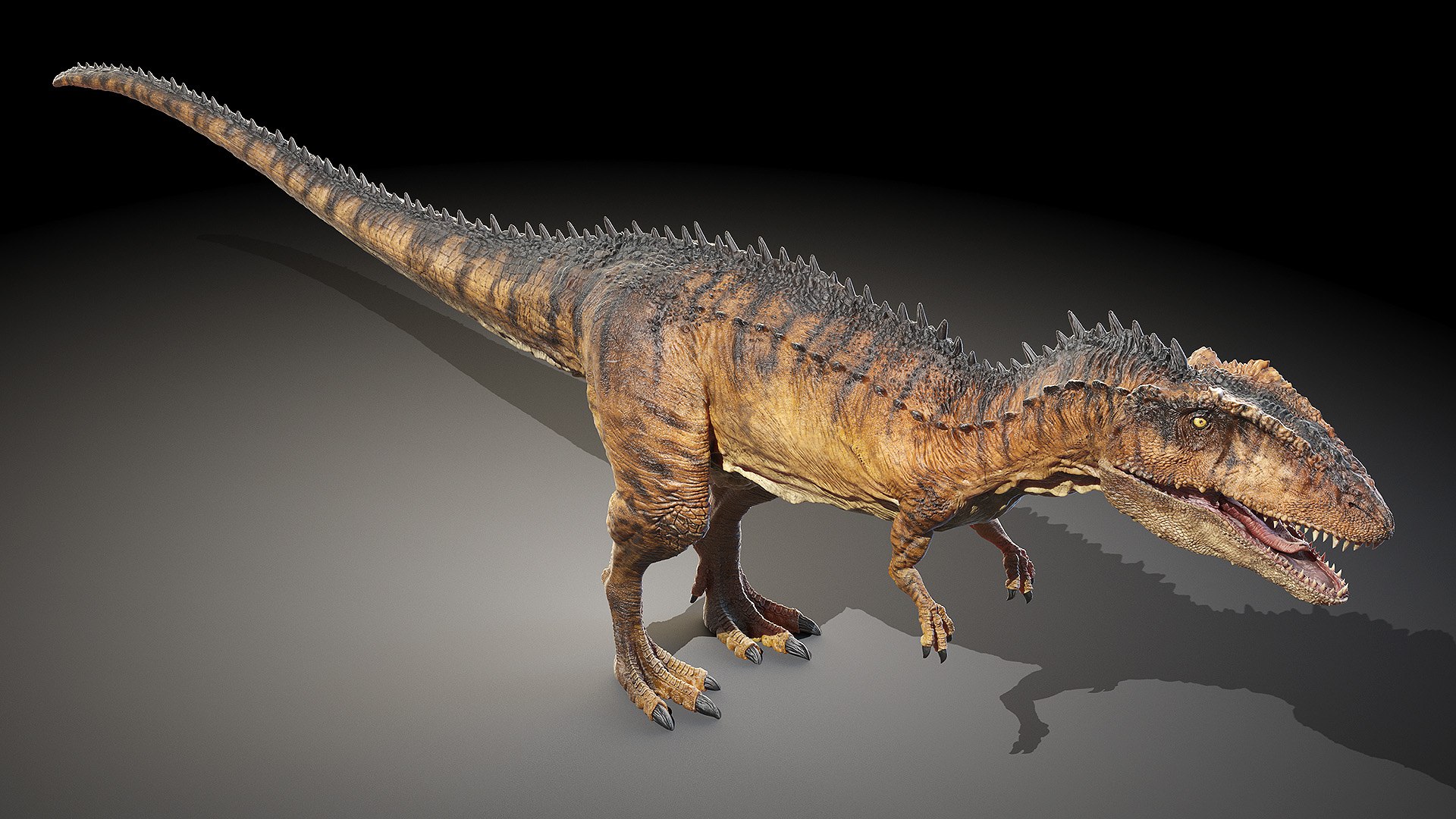 Carcharodontosaurus Carcharodon 3D Model - TurboSquid 1583627