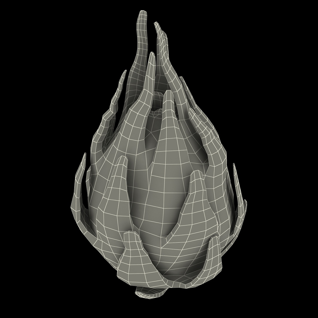 3d dragonfruit fruit model