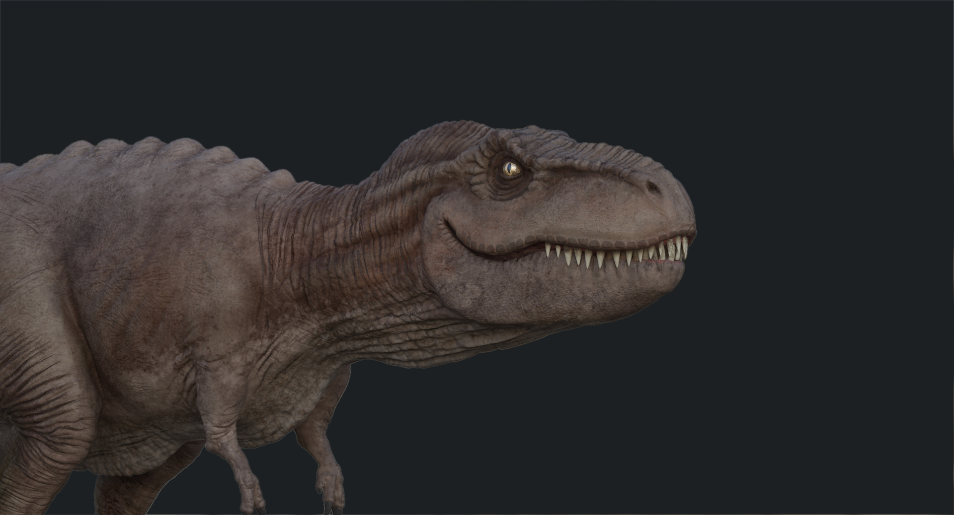 3D Rex Tyrannosaurus Model - TurboSquid 1403643