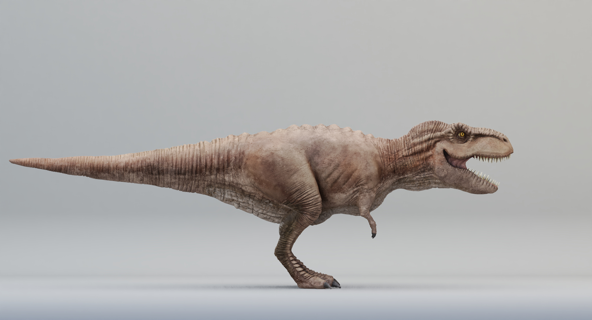 3D Rex Tyrannosaurus Model - TurboSquid 1403643
