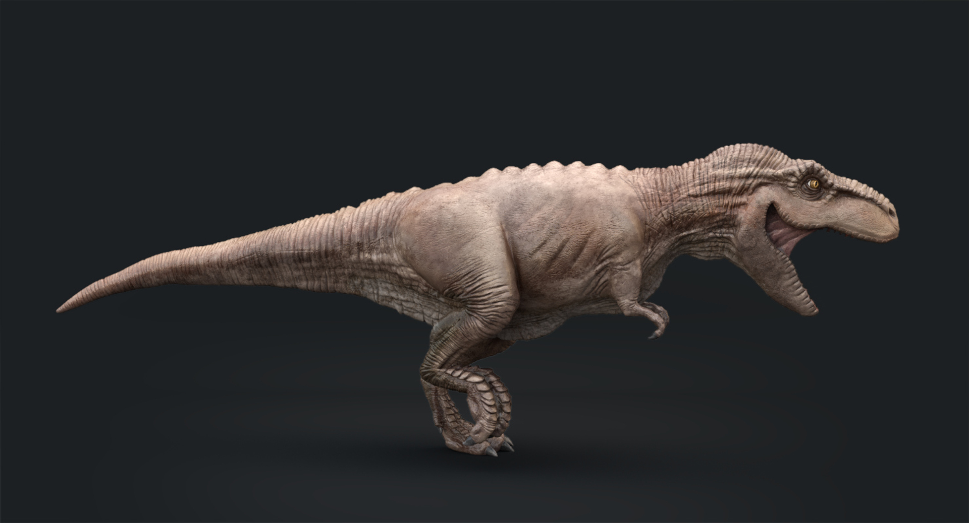 3D Rex Tyrannosaurus Model - TurboSquid 1403643