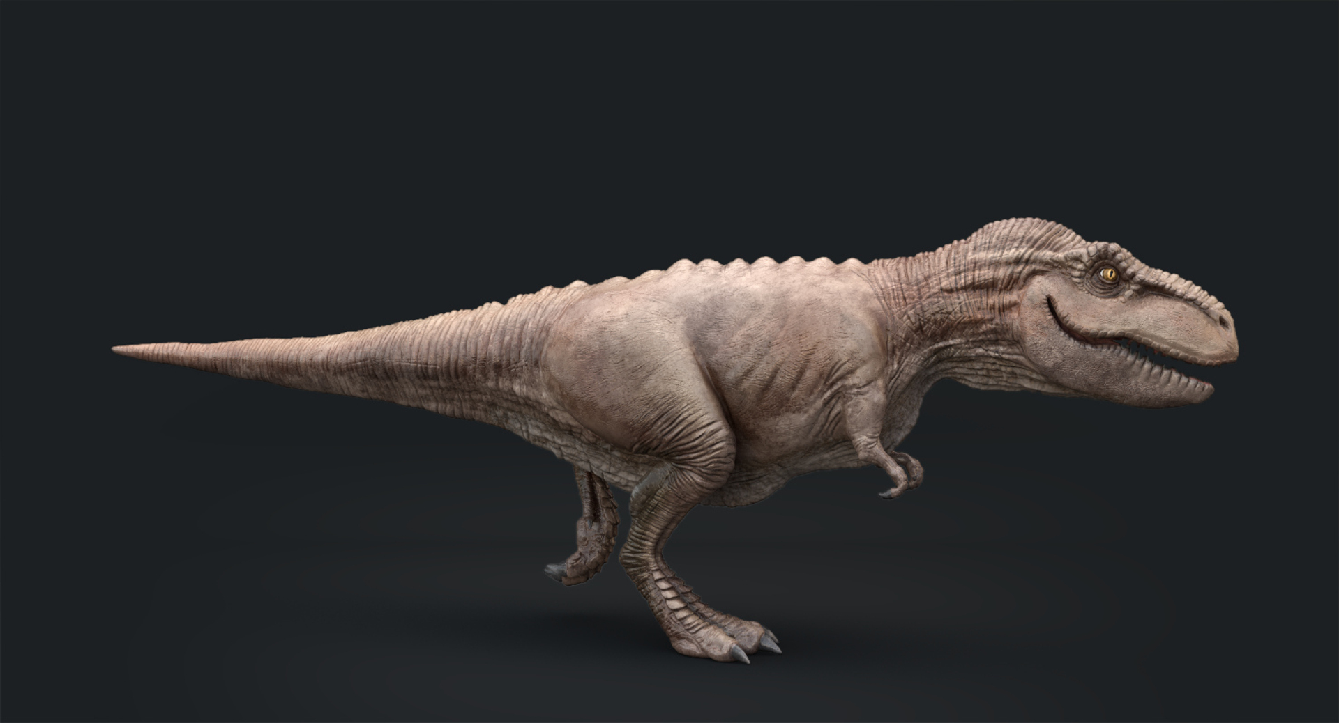 3D Rex Tyrannosaurus Model - TurboSquid 1403643