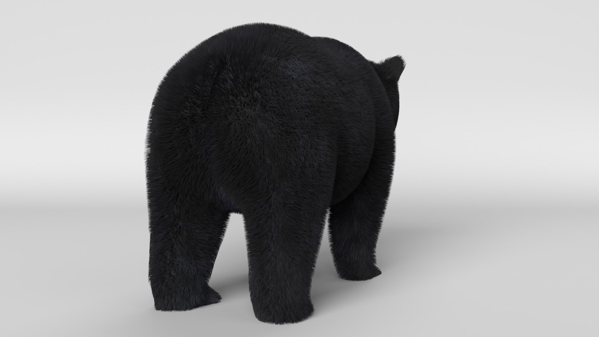 Black Bear Animated 3D - TurboSquid 2115459