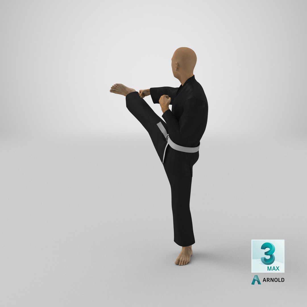 max japanese karate fighter black