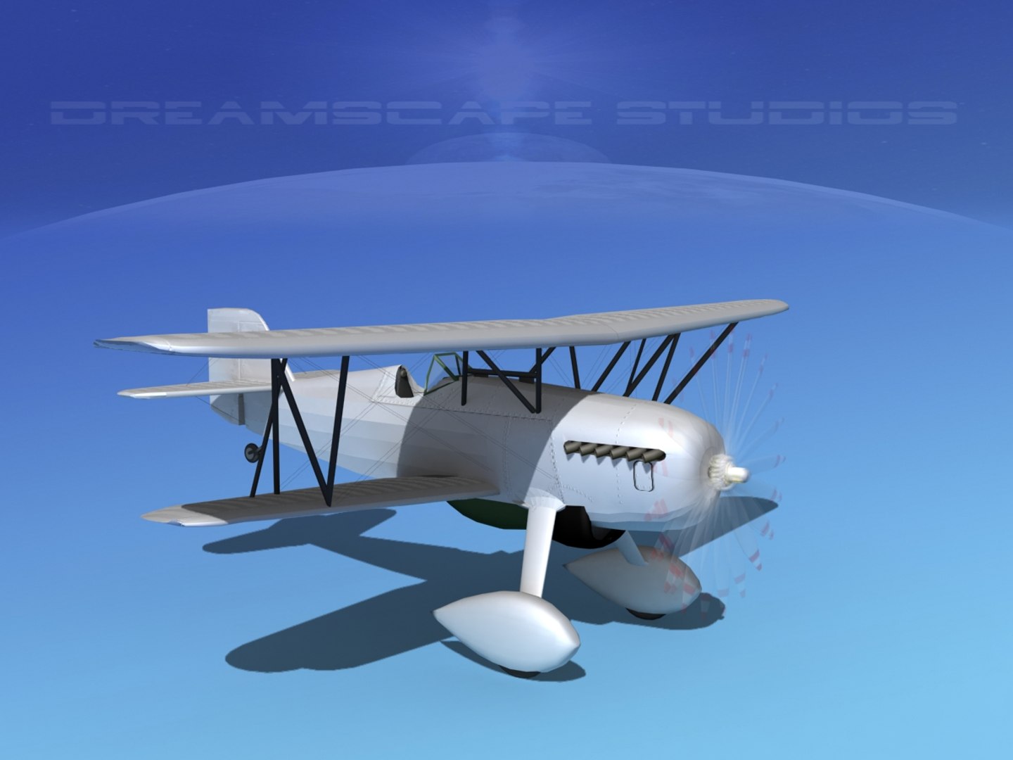 3d Model Curtiss Hawk Fighter P-6