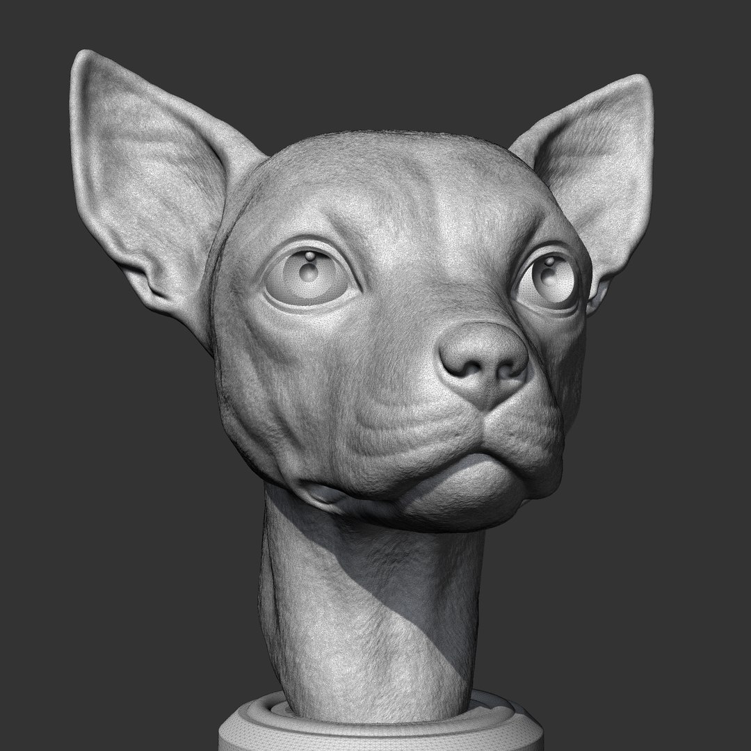 3D Miniature Pinscher Head AM37 3D Print Model Model - TurboSquid 2262157