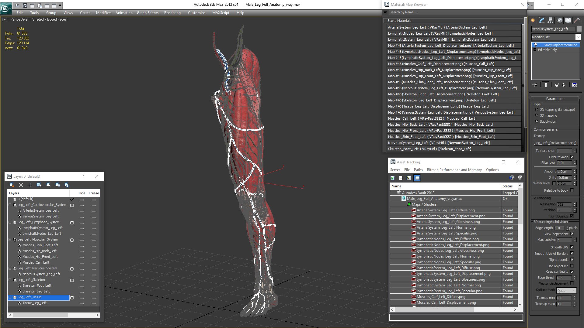 3D Model Male Leg Anatomy - TurboSquid 1465414