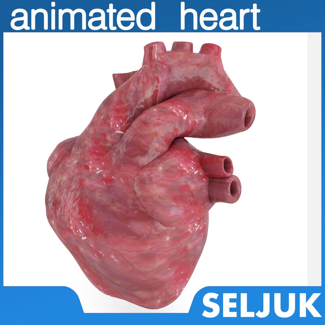 C4d Human Heart Animation Realistic
