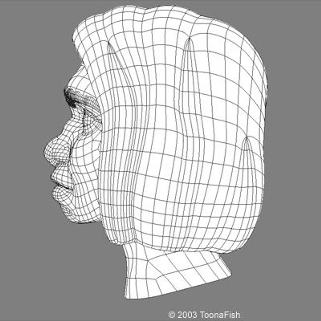 3d head neanderthal model