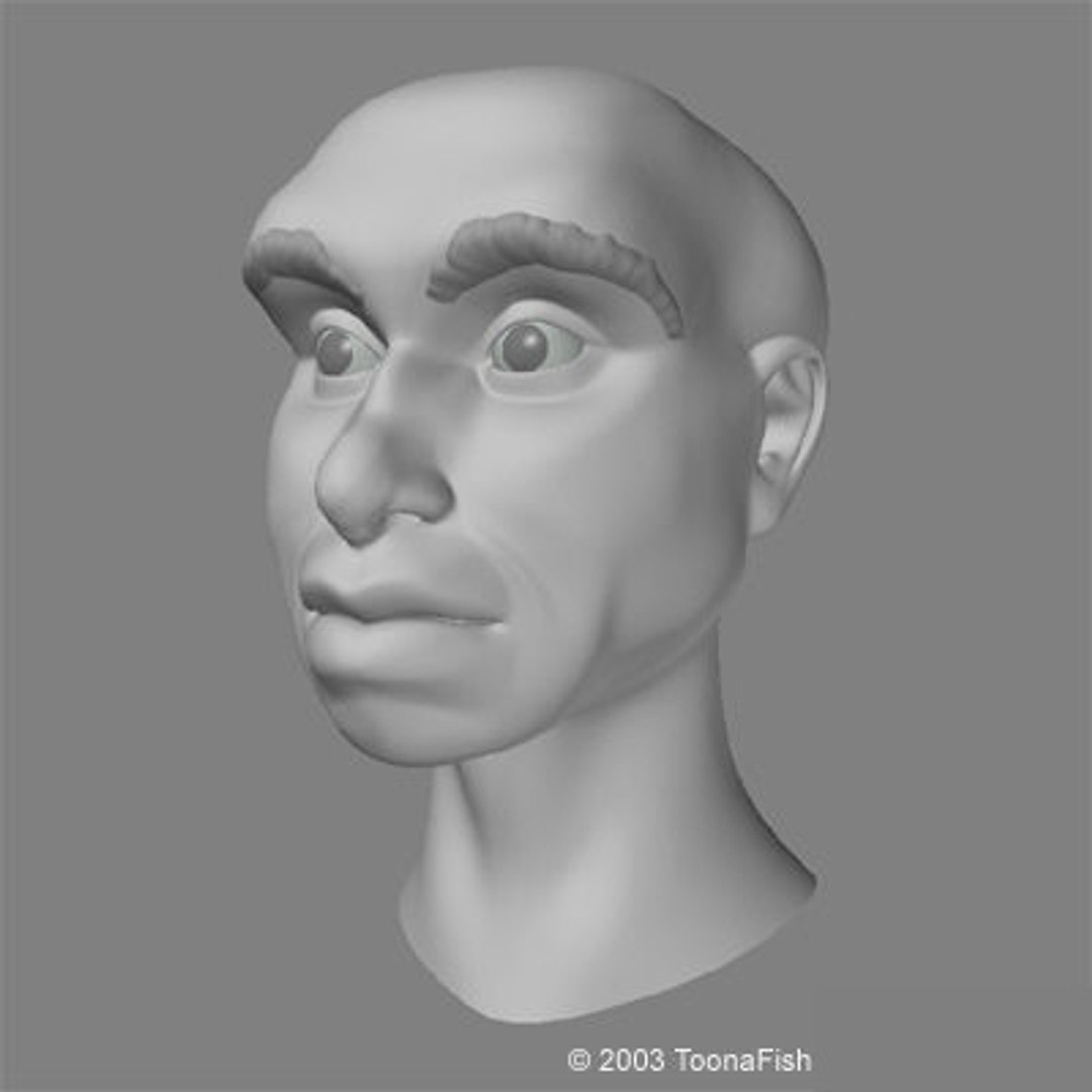3d head neanderthal model