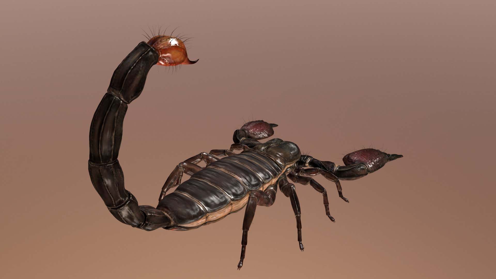 scorpion mantis stag 3d model