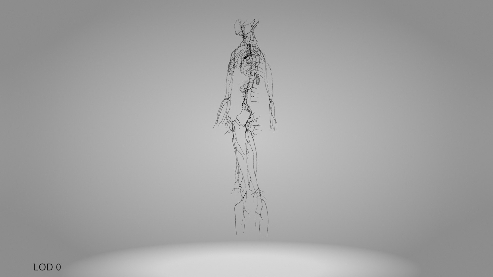 3D model Human lymphatic system - TurboSquid 1927328