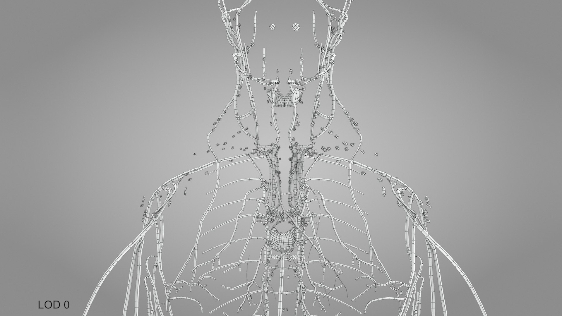 3D model Human lymphatic system - TurboSquid 1927328