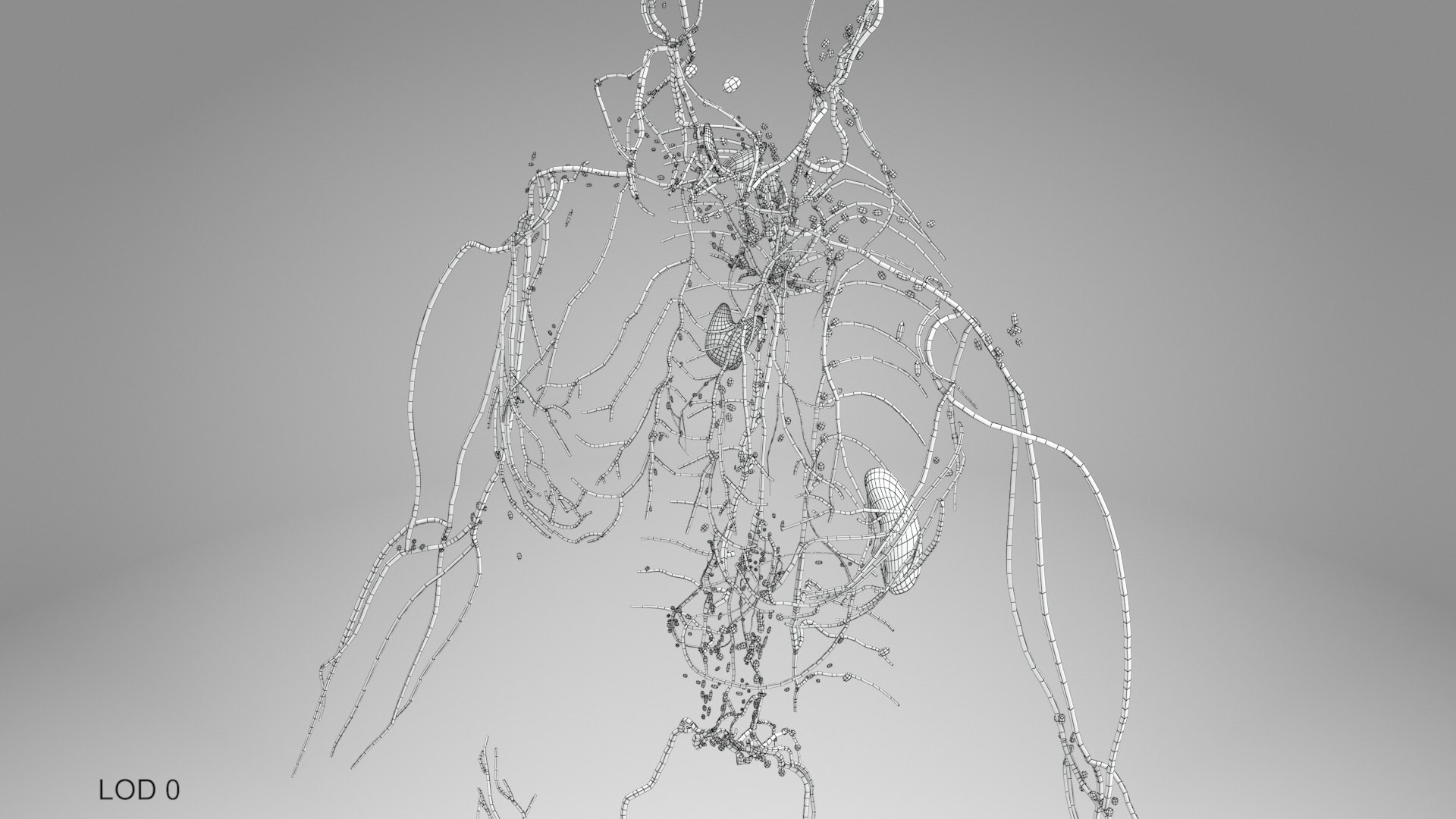 3D model Human lymphatic system - TurboSquid 1927328
