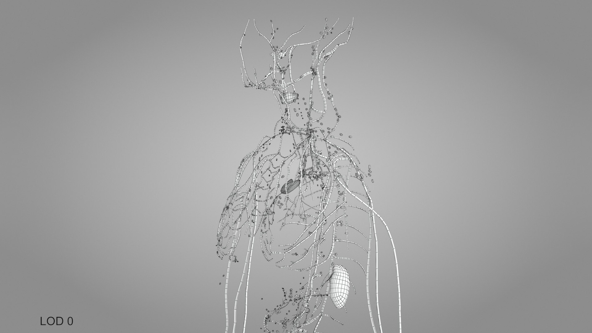 3D model Human lymphatic system - TurboSquid 1927328