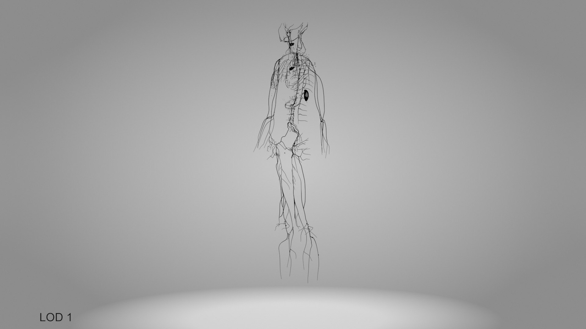 3D model Human lymphatic system - TurboSquid 1927328