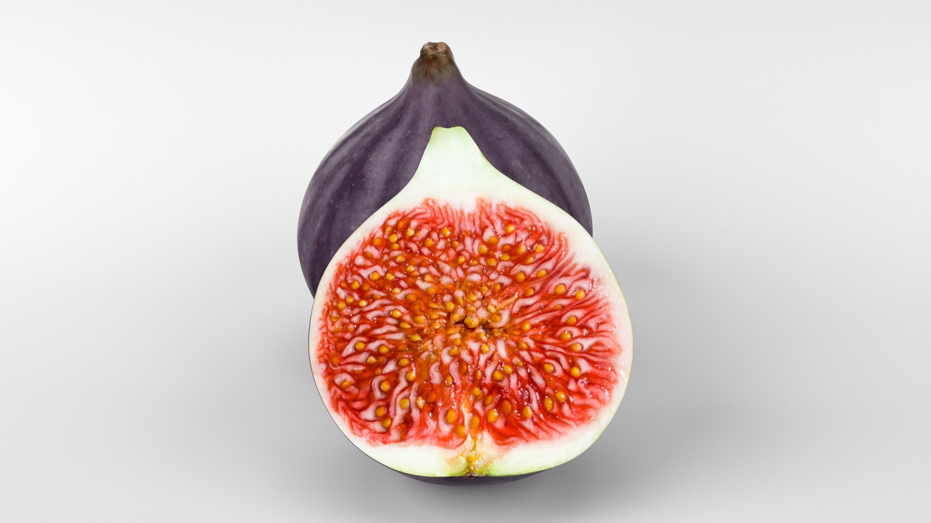 Realistic Fig 3D Model - TurboSquid 2139540