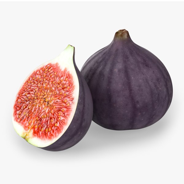 modelo 3d Higo realista - TurboSquid 2139540