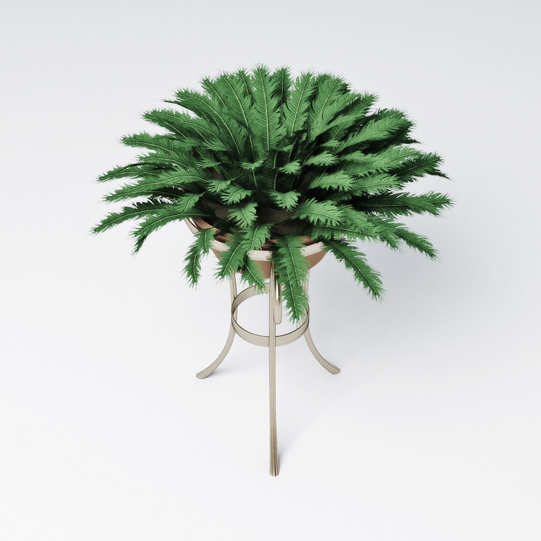3d Model Small Plant