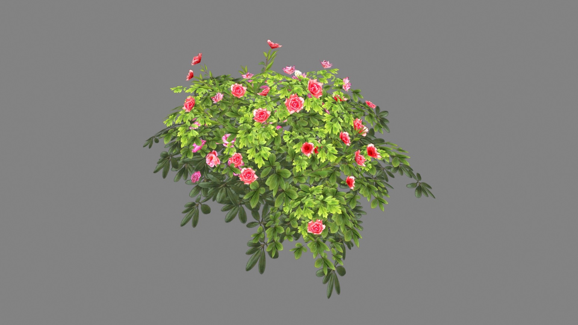 Cartoon Rose Bushes Model - TurboSquid 2258501