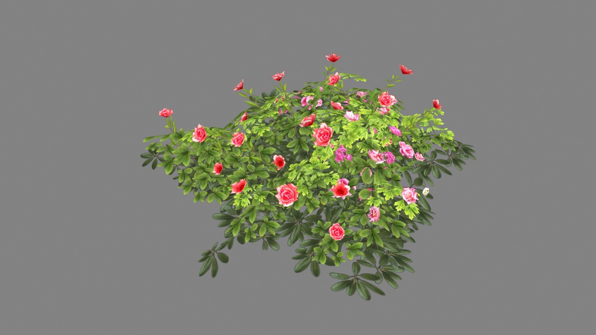 Cartoon Rose Bushes Model - TurboSquid 2258501