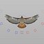 3d Model Hawk Rigged Animator