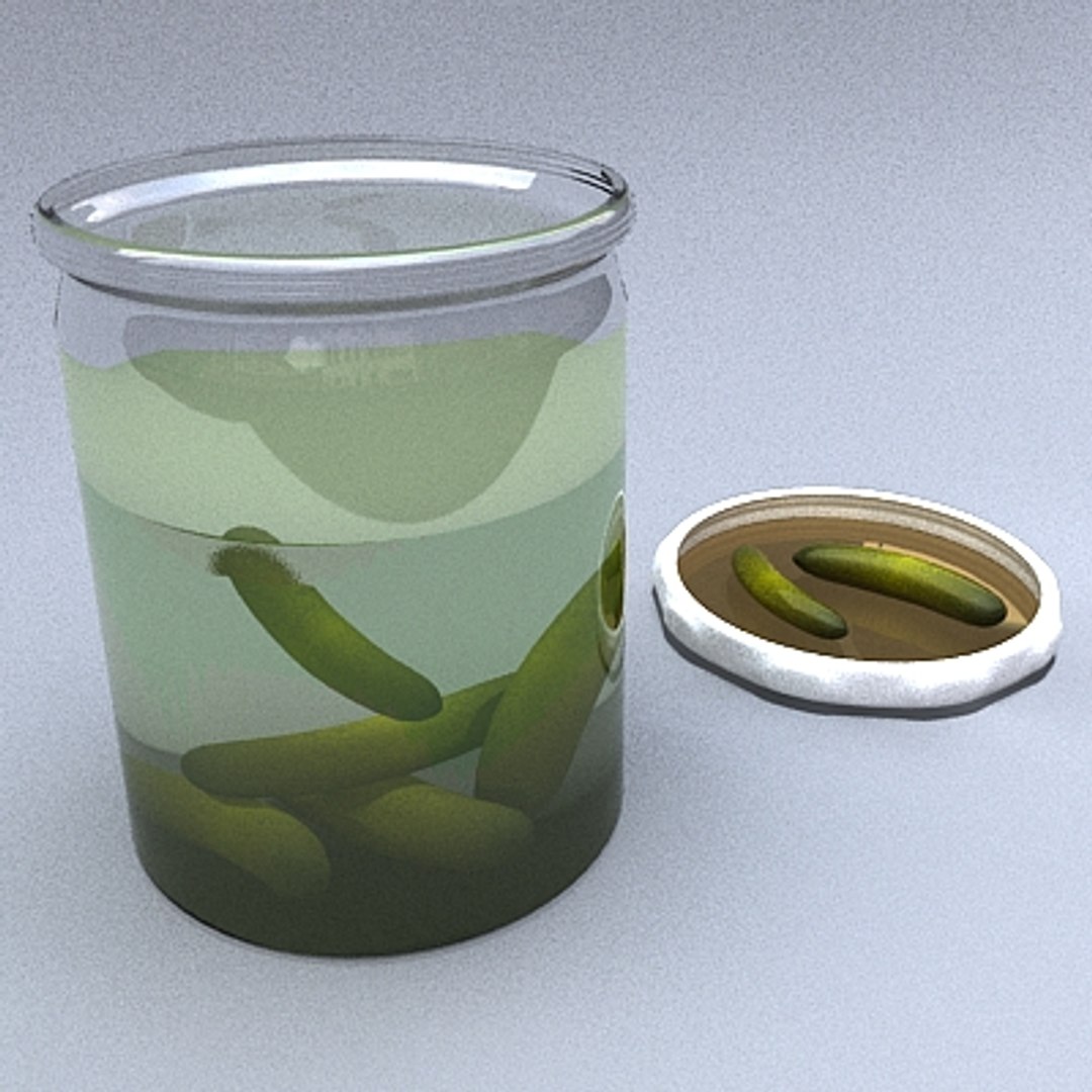 Glass Jar Pickles 3d Model