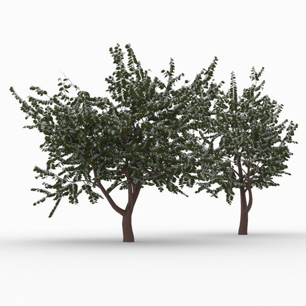 3D 3ds Max blooming apple tree