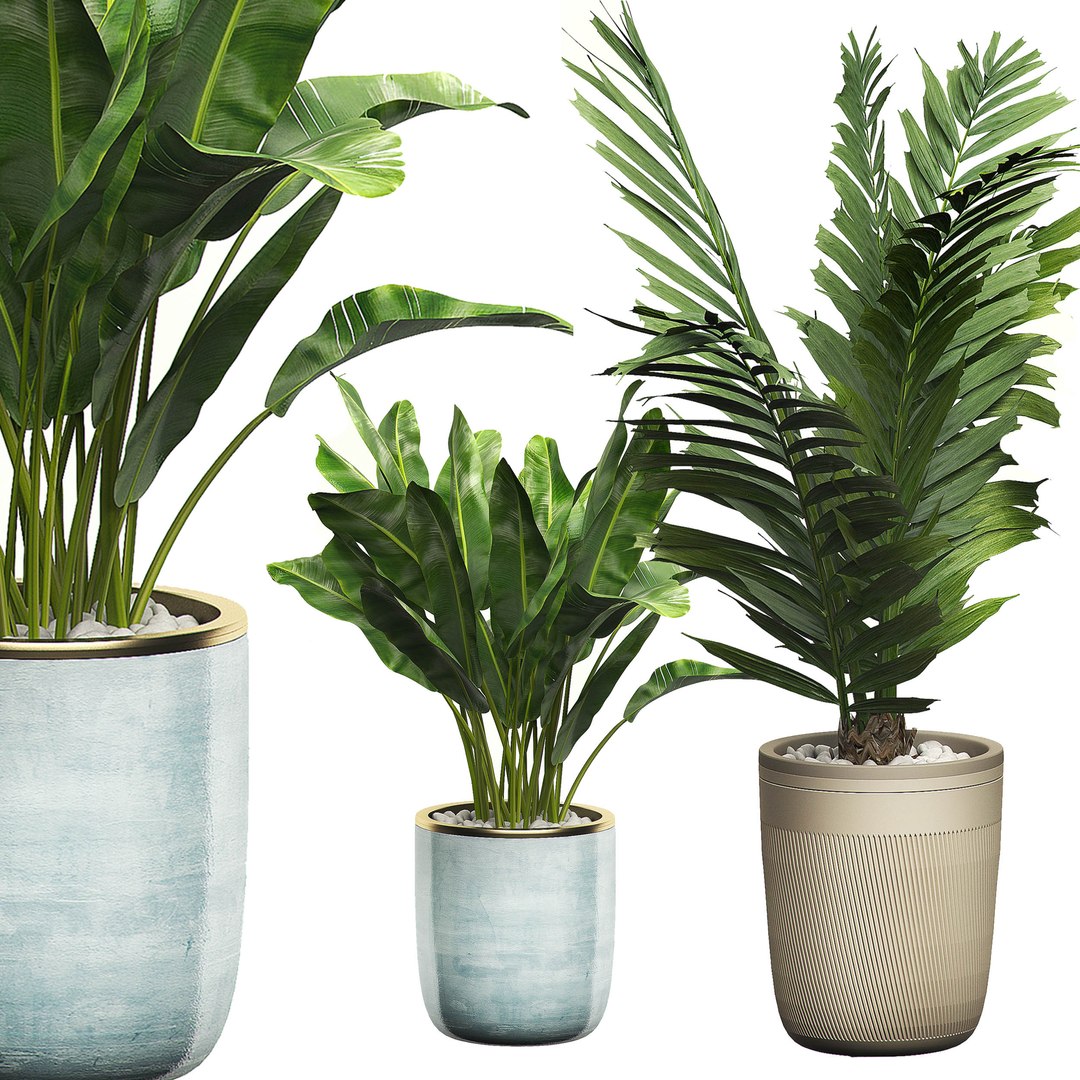 Potted plants set 10 3D - TurboSquid 1560035