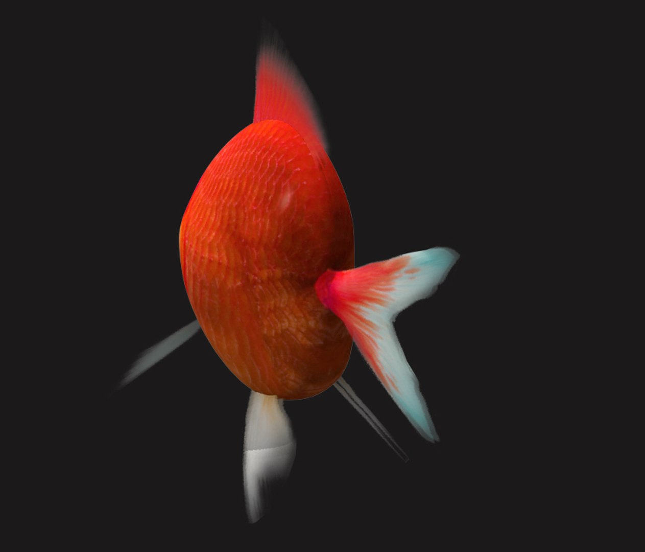 3d Model Shaped Fish