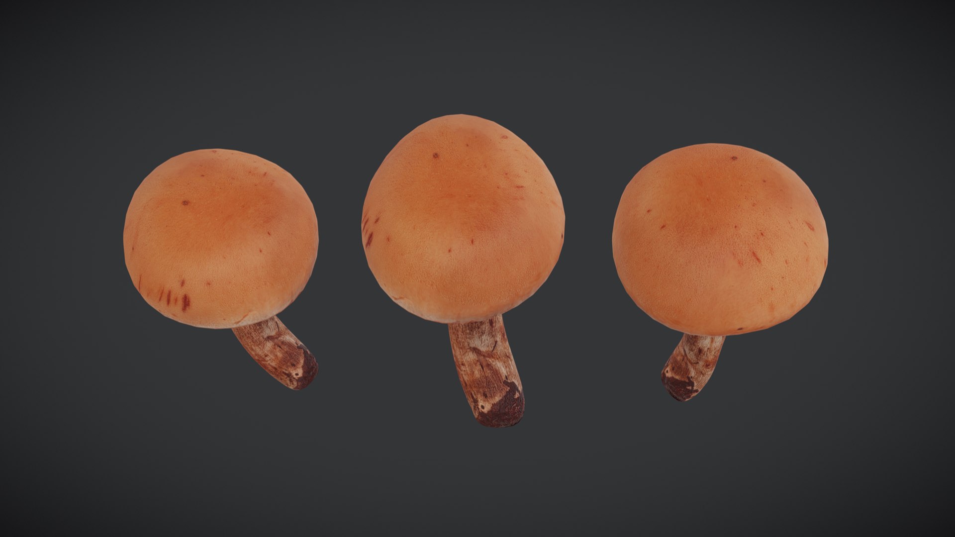 3D Model Brown Cap Mushroom Low Poly - TurboSquid 2367734