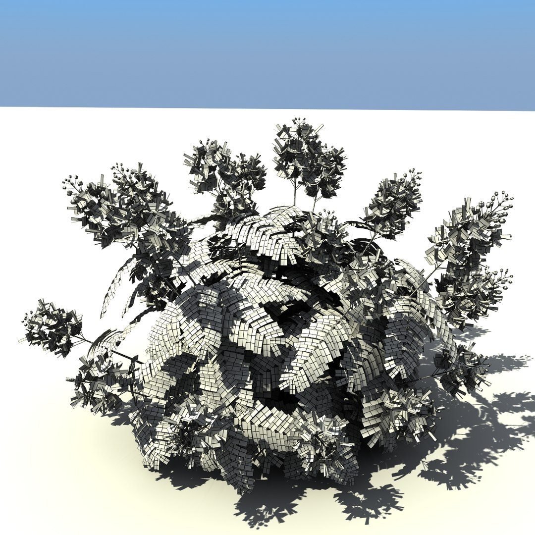 Mexican Bird Paradise Max